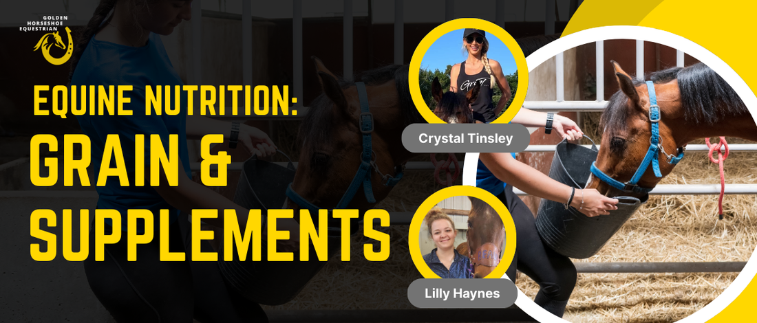 Equine Nutrition Part 2: Grain & Supplements – Golden Horseshoe Equestrian