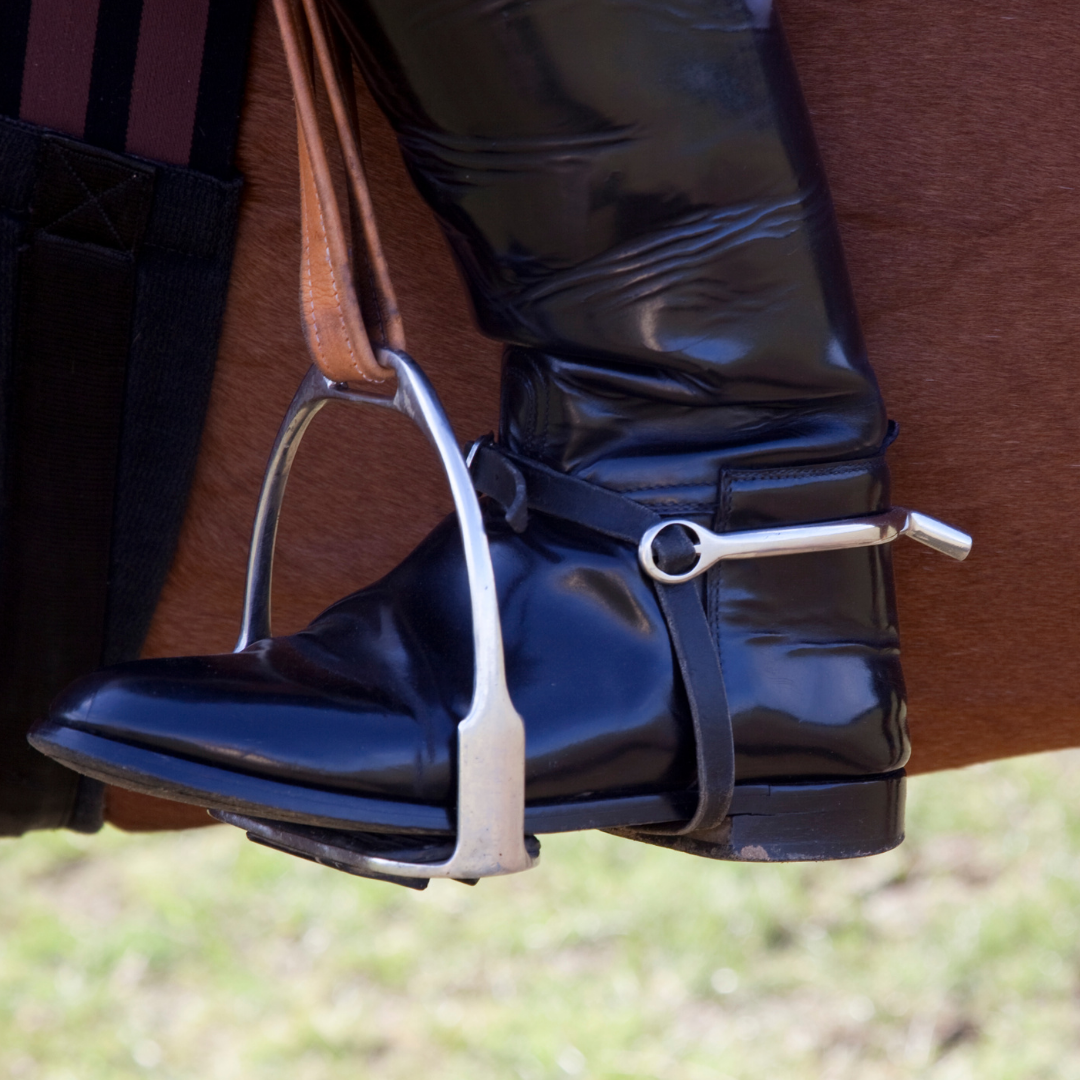 Ladies English Spurs – Golden Horseshoe Equestrian